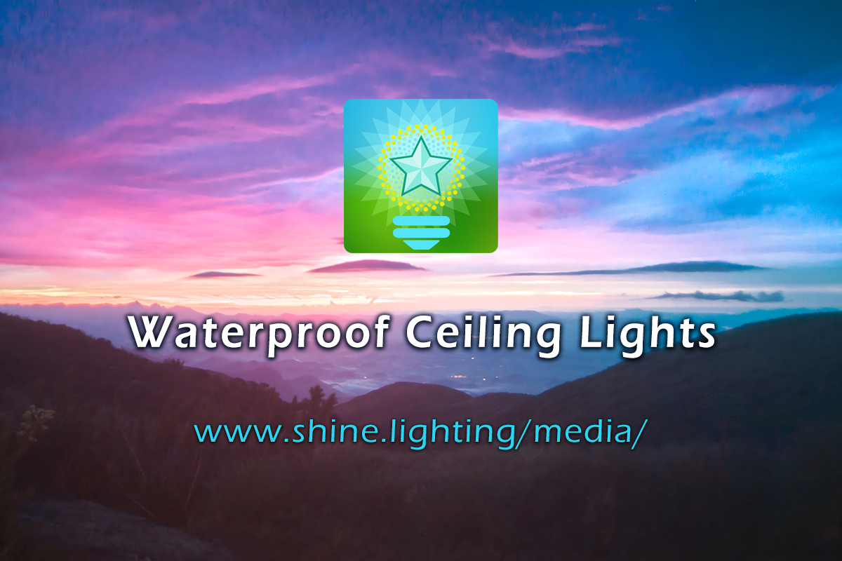 Waterproof Ceiling Lights